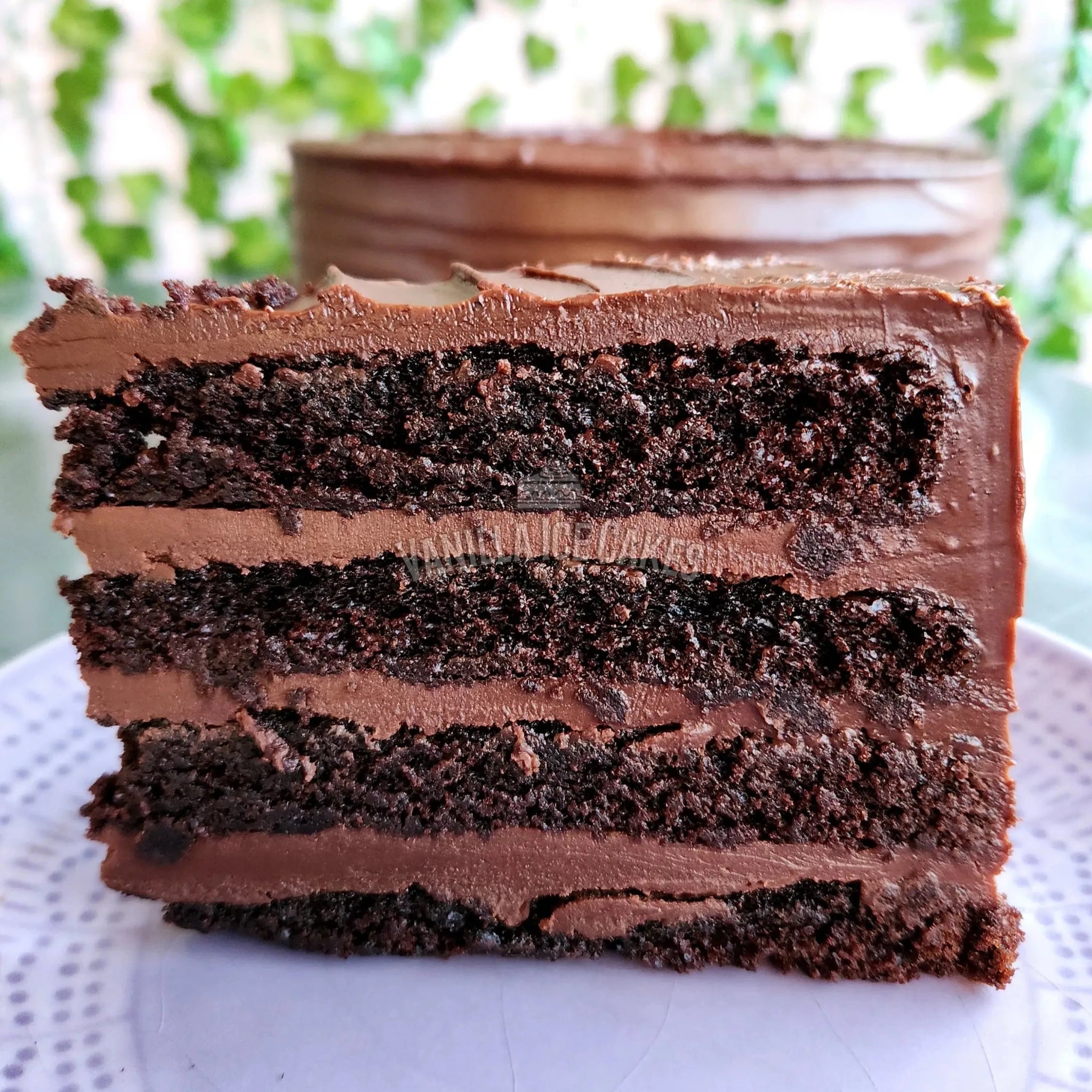 Vanilla Ice Cakes - Bruce Cake Slice